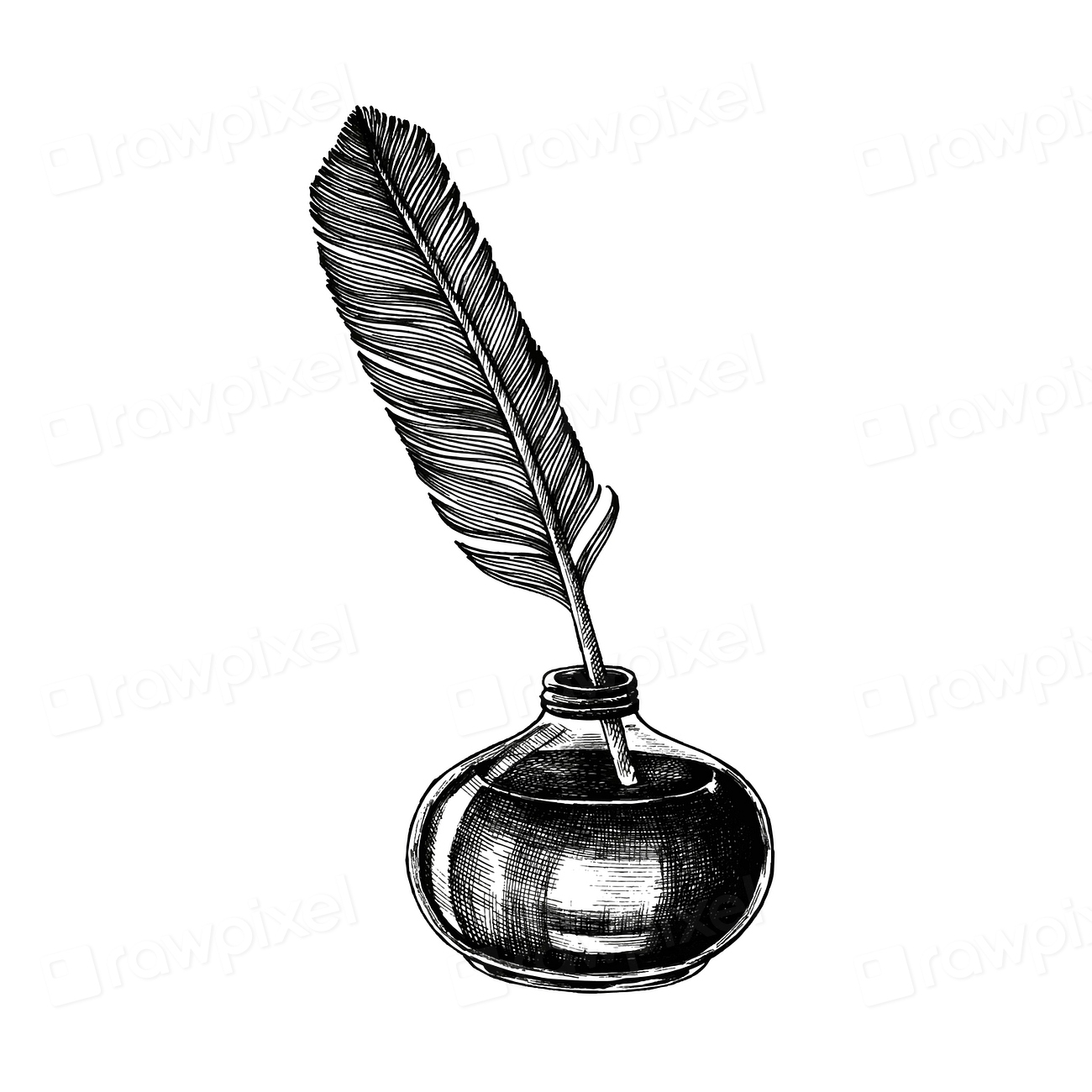 Hand drawn quill isolated white | Premium Vector Illustration - rawpixel