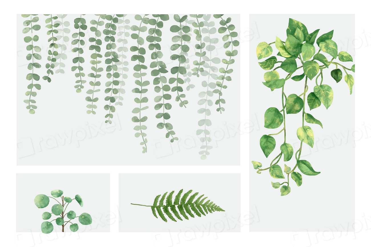 Collection hand drawn plants isolated | Premium Vector - rawpixel