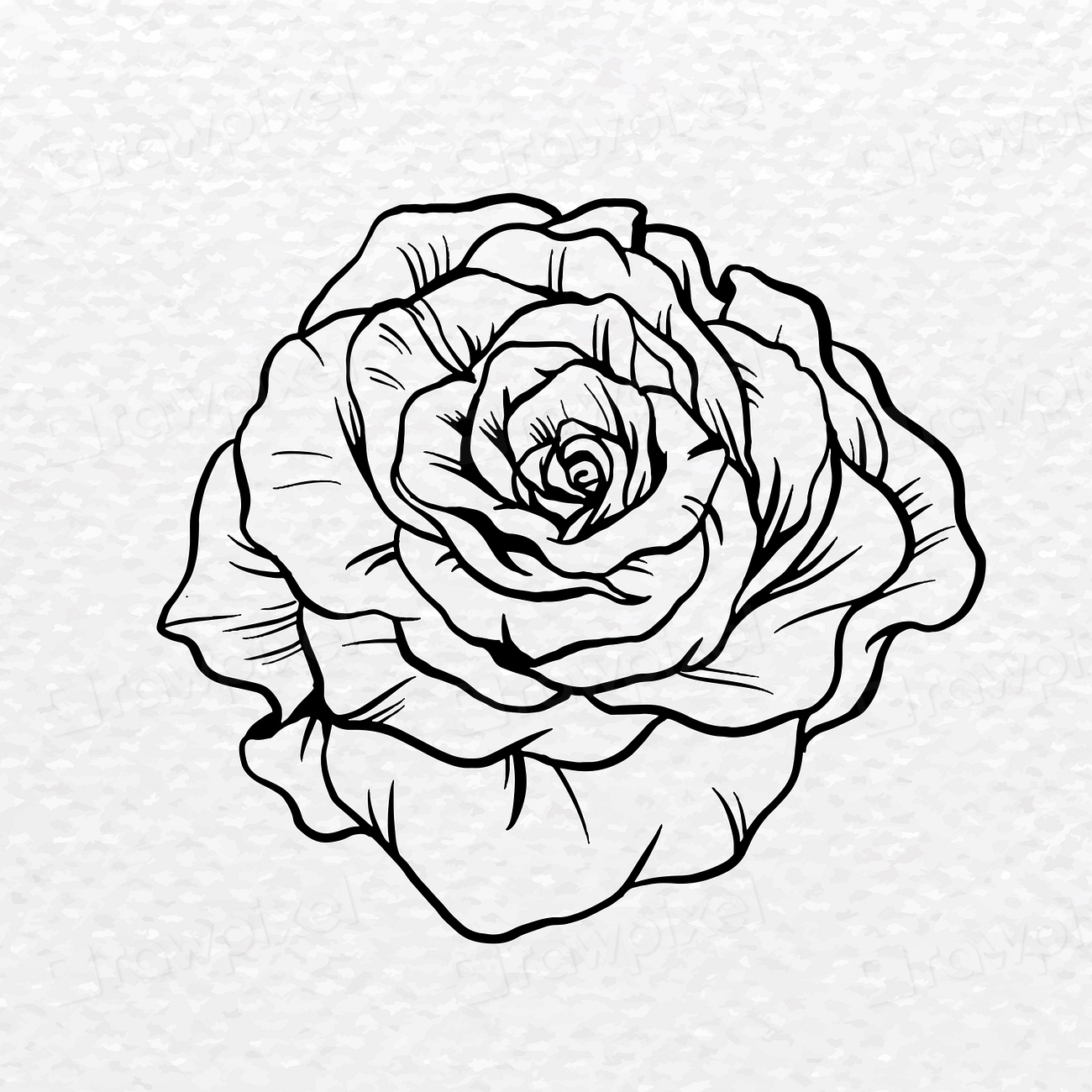 Rose flower sticker, black vintage | Premium Vector Illustration - rawpixel