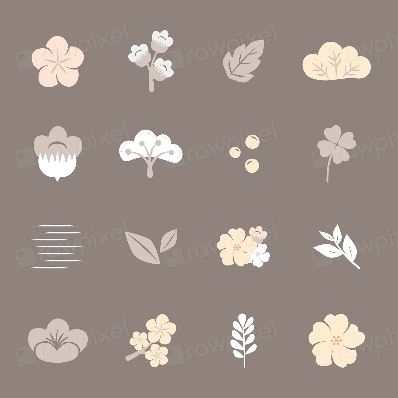 Beige spring flowers vector collection | Premium Vector - rawpixel