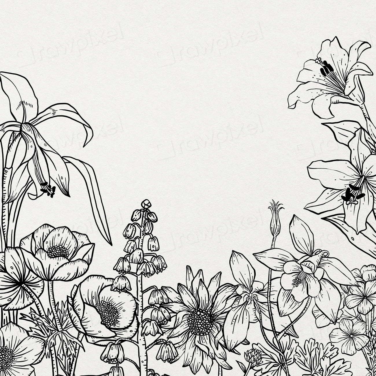 Seamless flower line art border | Premium PSD Illustration - rawpixel
