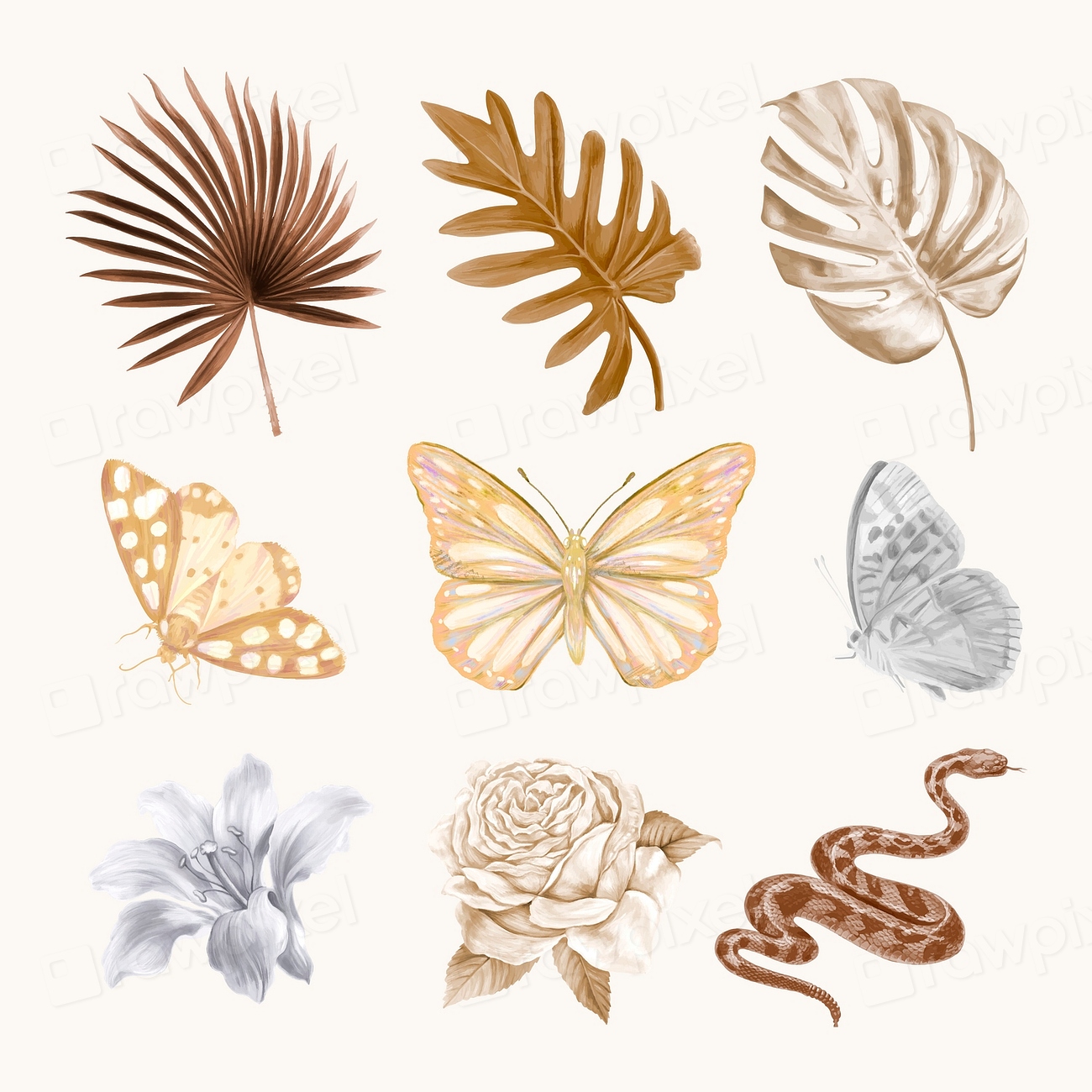 Brown aesthetic tropical collage elements | Vector - rawpixel