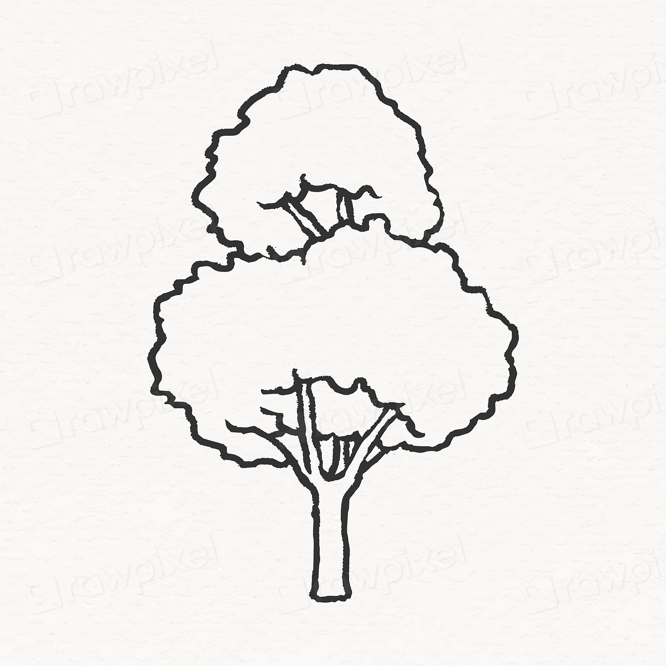 Aesthetic oak tree sticker, line | Premium Vector Illustration - rawpixel