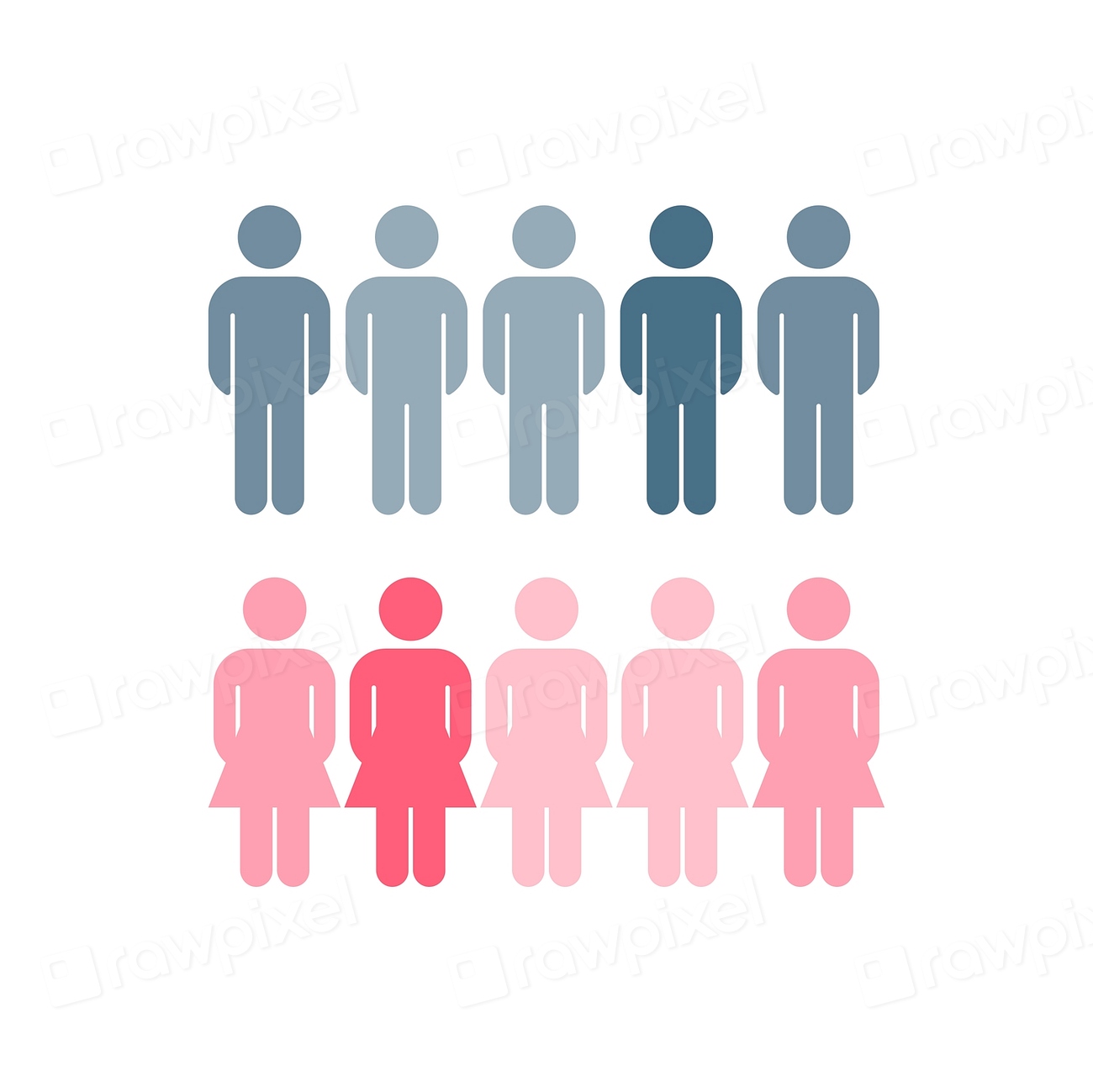 Corporate gender distribution statistics vector | Premium Vector - rawpixel