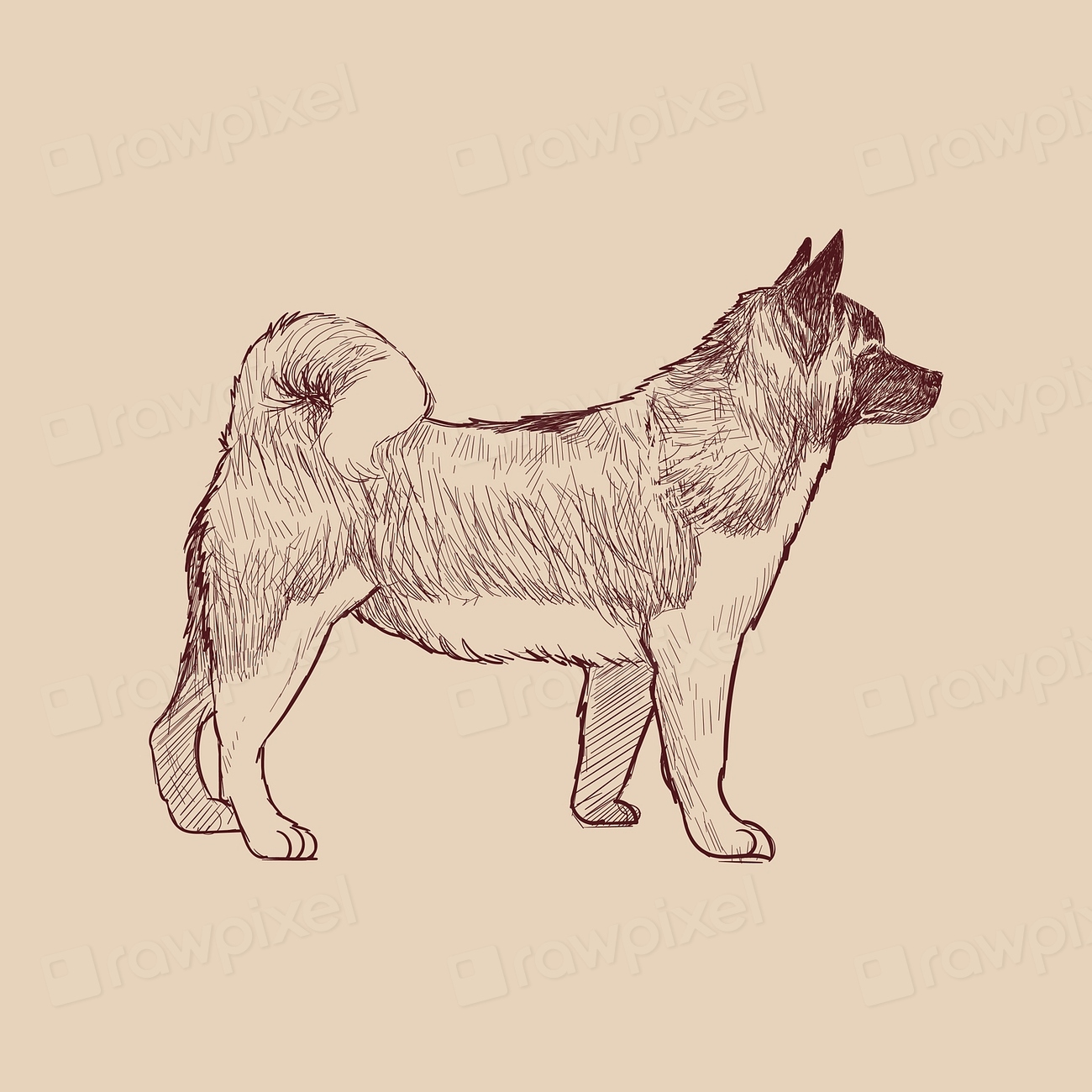 Illustration drawing style of dog | Premium Vector Illustration - rawpixel