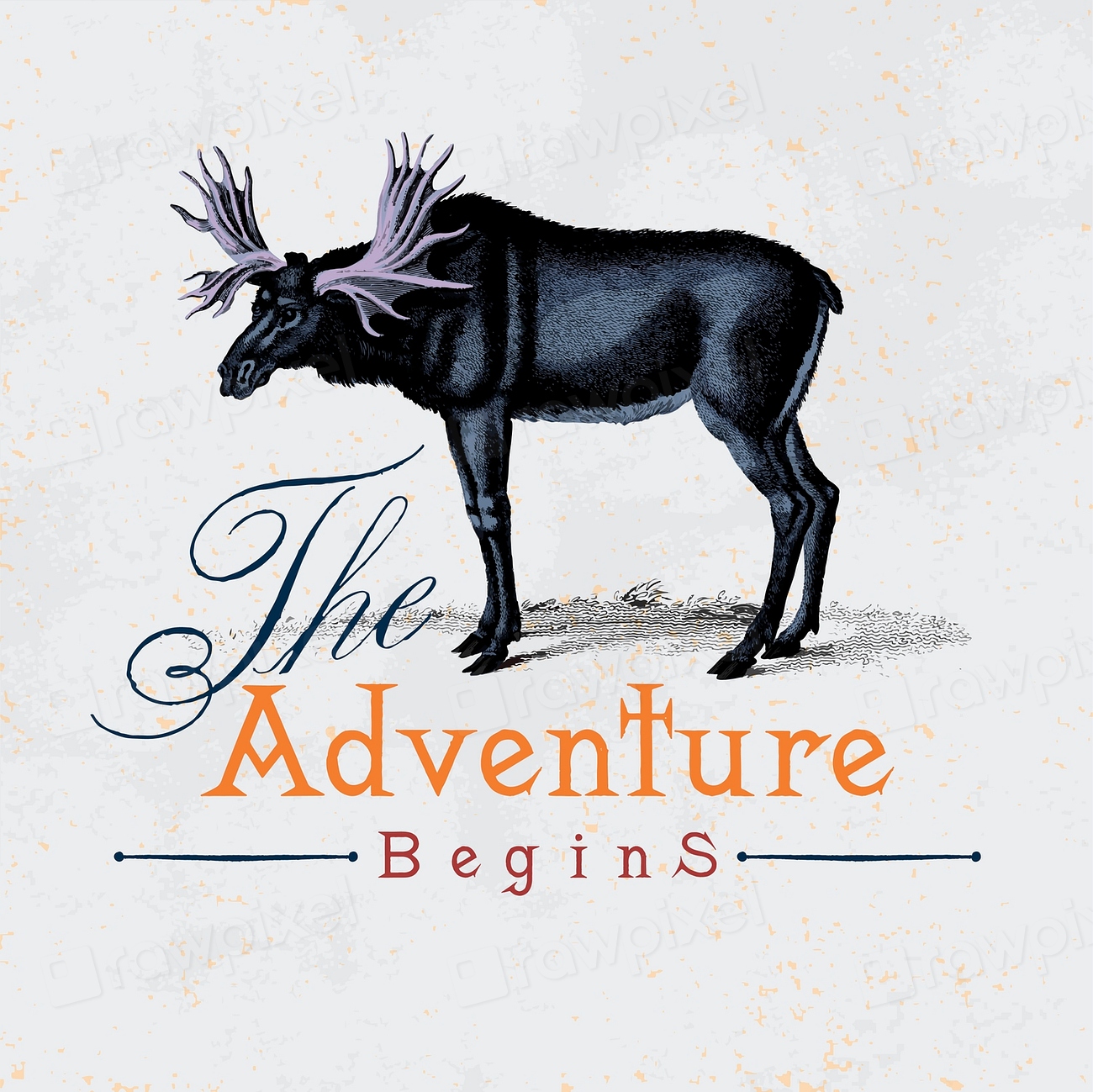 adventure begins logo design vector | Premium Vector - rawpixel