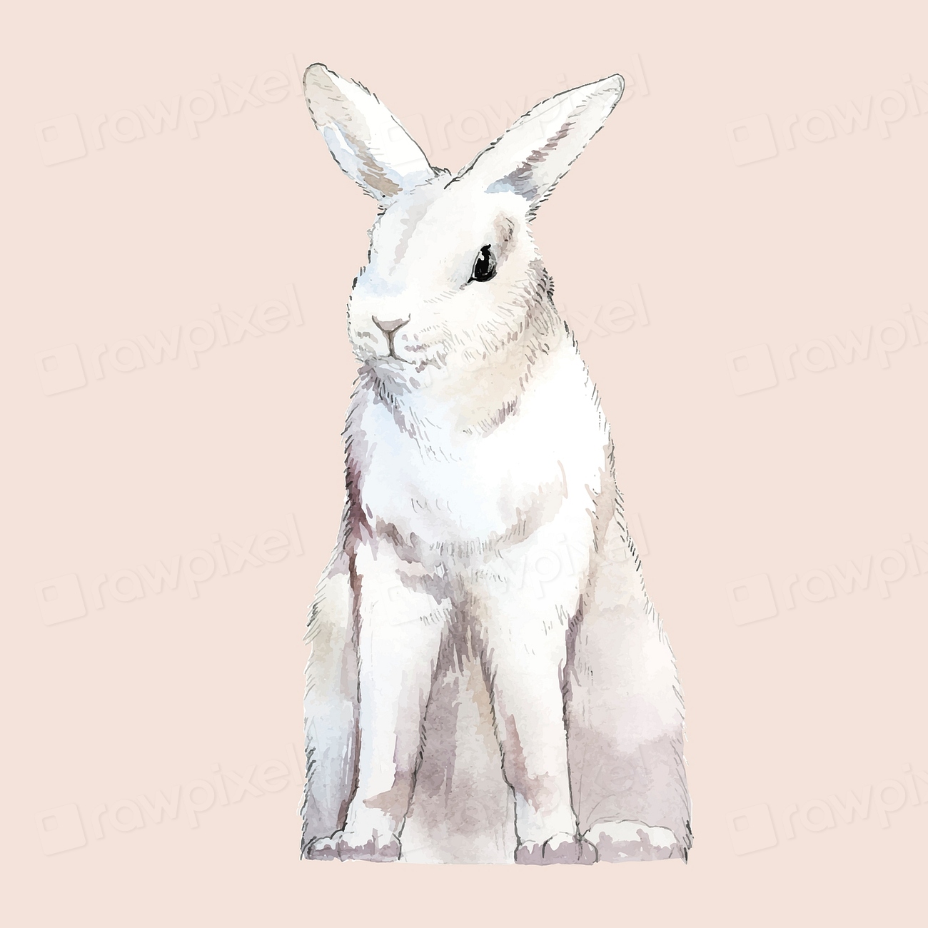 Wild white rabbit painted by watercolor | Free Vector Illustration ...