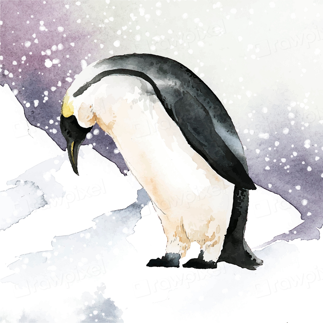 Emperor penguin in the snow | Free Vector Illustration - rawpixel