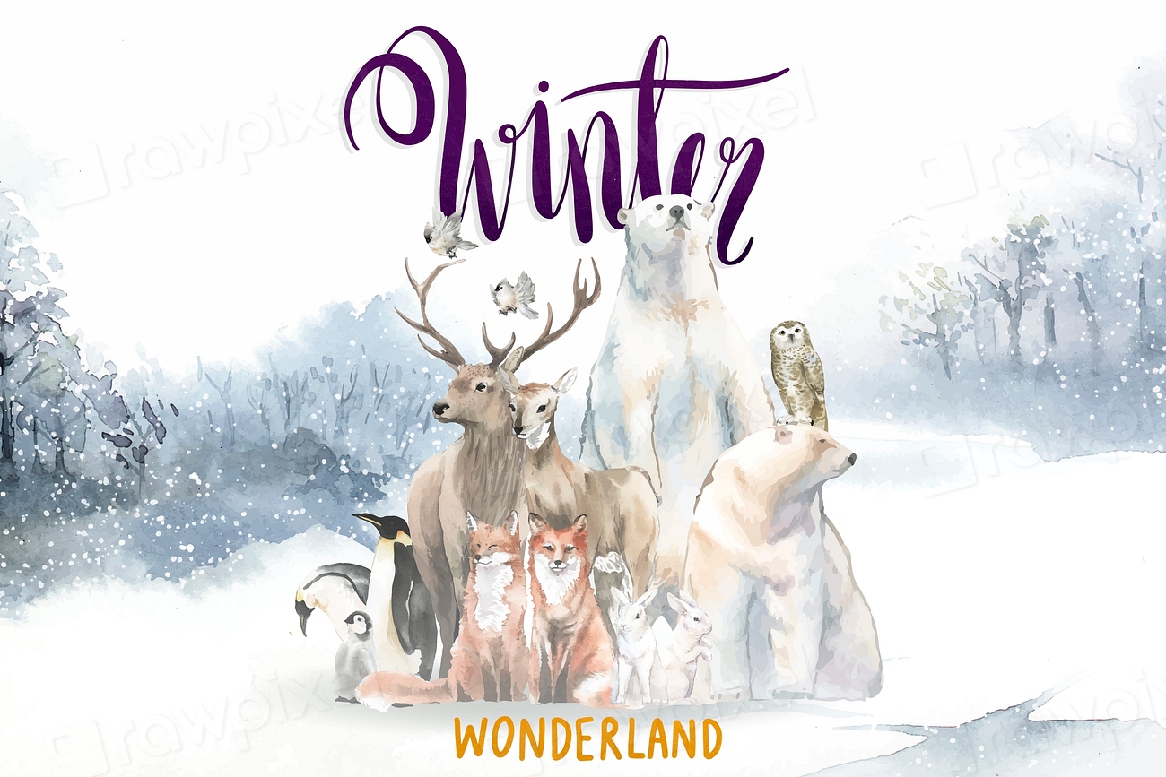 Group wild animals winter wonderland | Free Vector - rawpixel