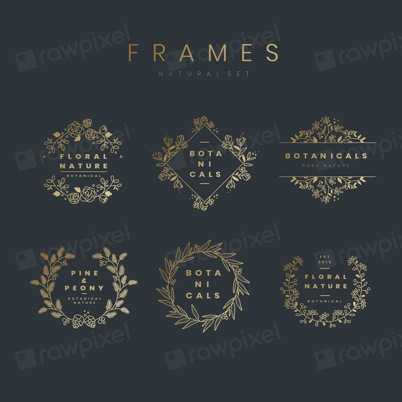 Set botanical frame design elements | Premium Vector - rawpixel