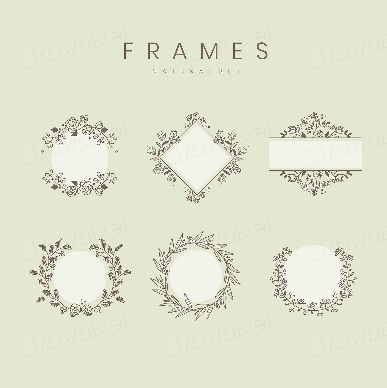 Set botanical frame design elements | Premium Vector - rawpixel