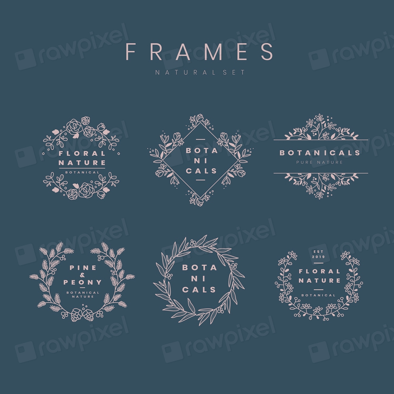 Set botanical frame design elements | Premium Vector - rawpixel
