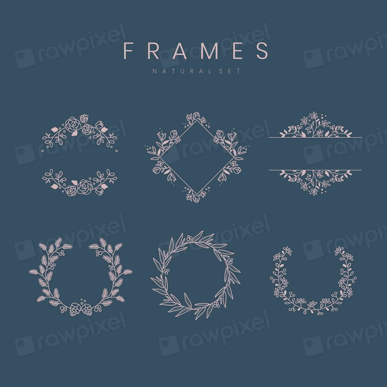 Set of botanical frame design | Premium Vector - rawpixel