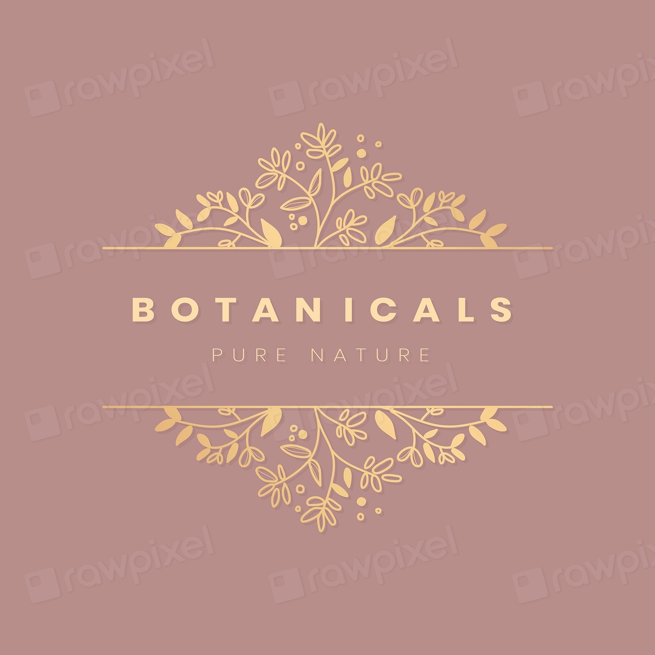 Floral botanicals pure nature vector | Premium Vector - rawpixel
