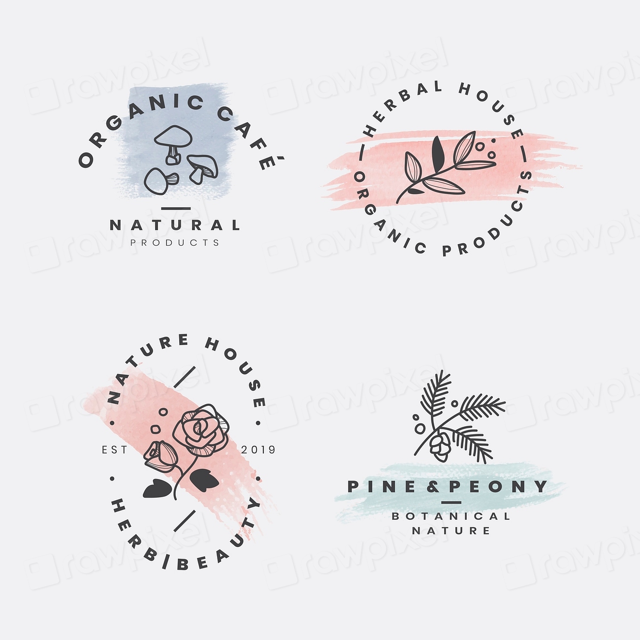 Set of floral botanical vectors | Premium Vector - rawpixel