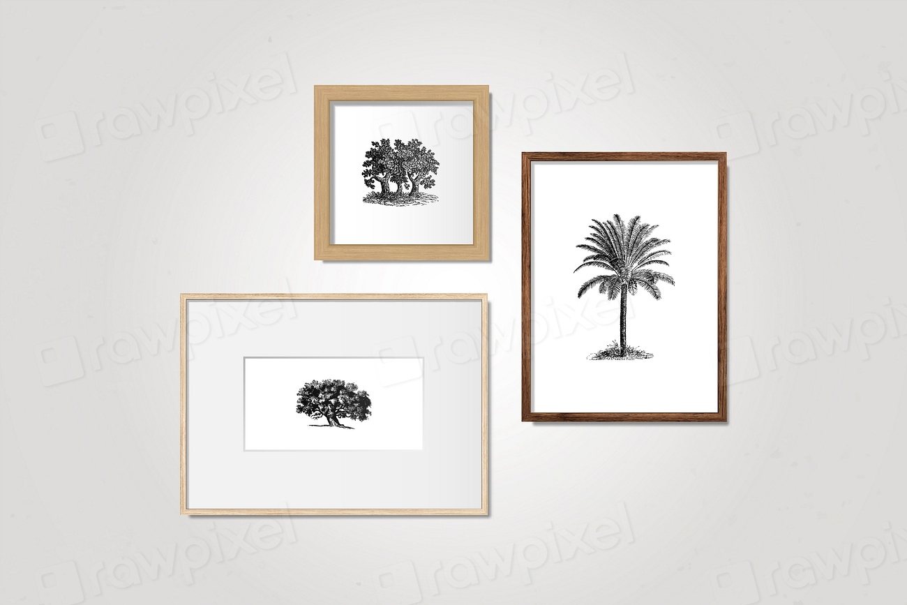 Tree frame collection wall vector | Premium Vector Mockup - rawpixel