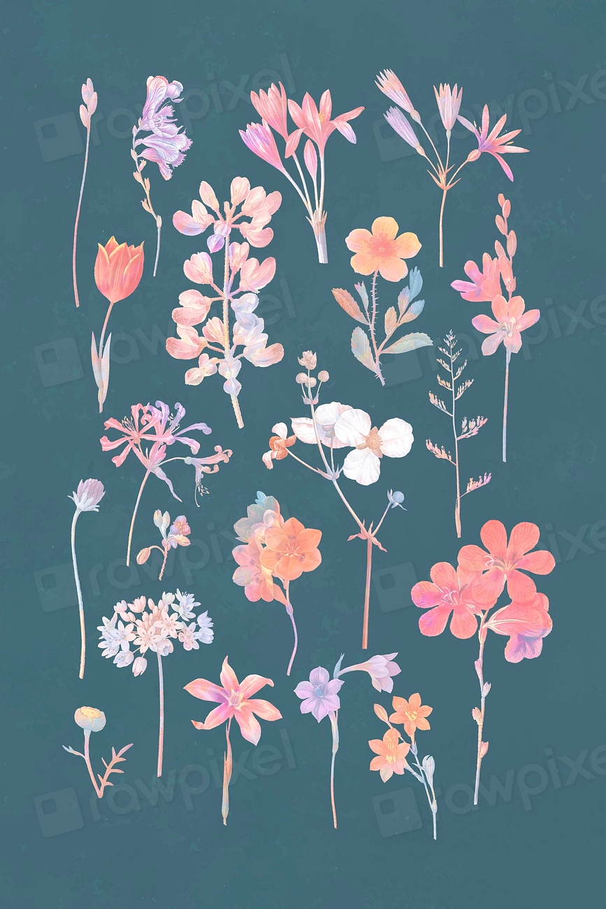 Colorful floral design vector set | Premium Vector - rawpixel