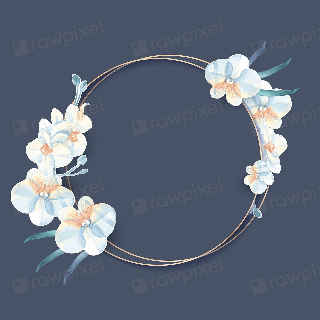 Round gold flower frame vector | Premium Vector - rawpixel