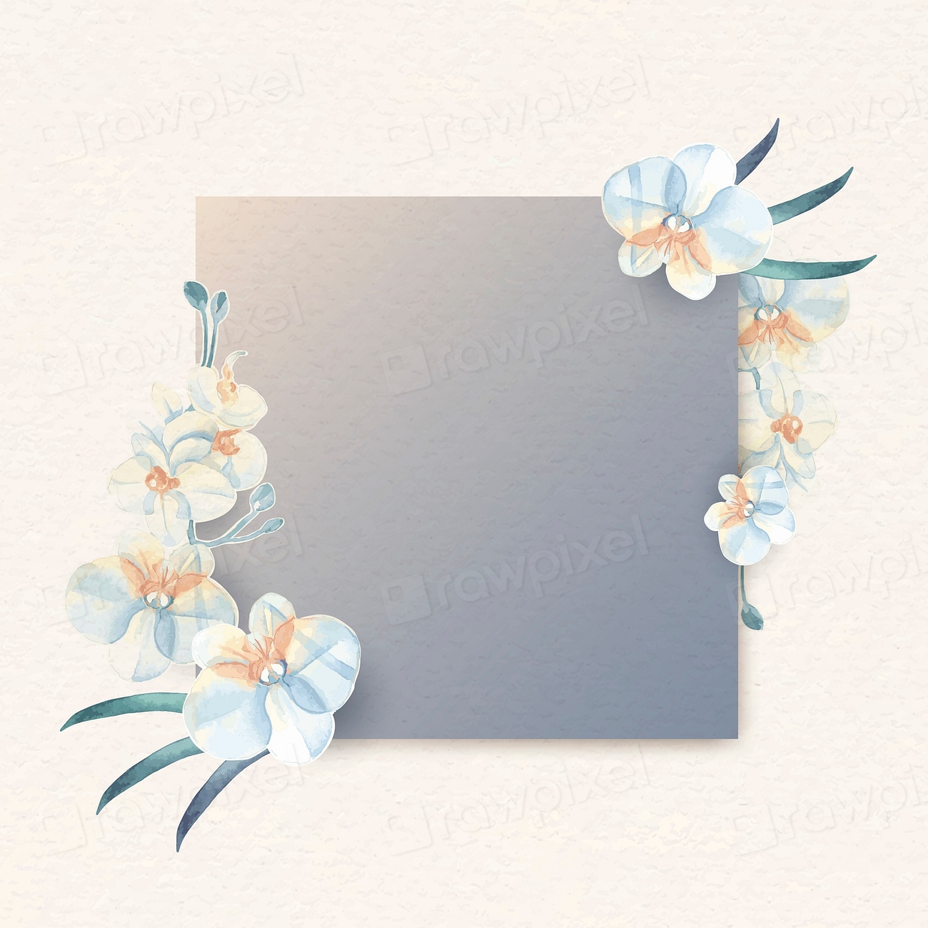 Square blue flower frame vector | Premium Vector - rawpixel
