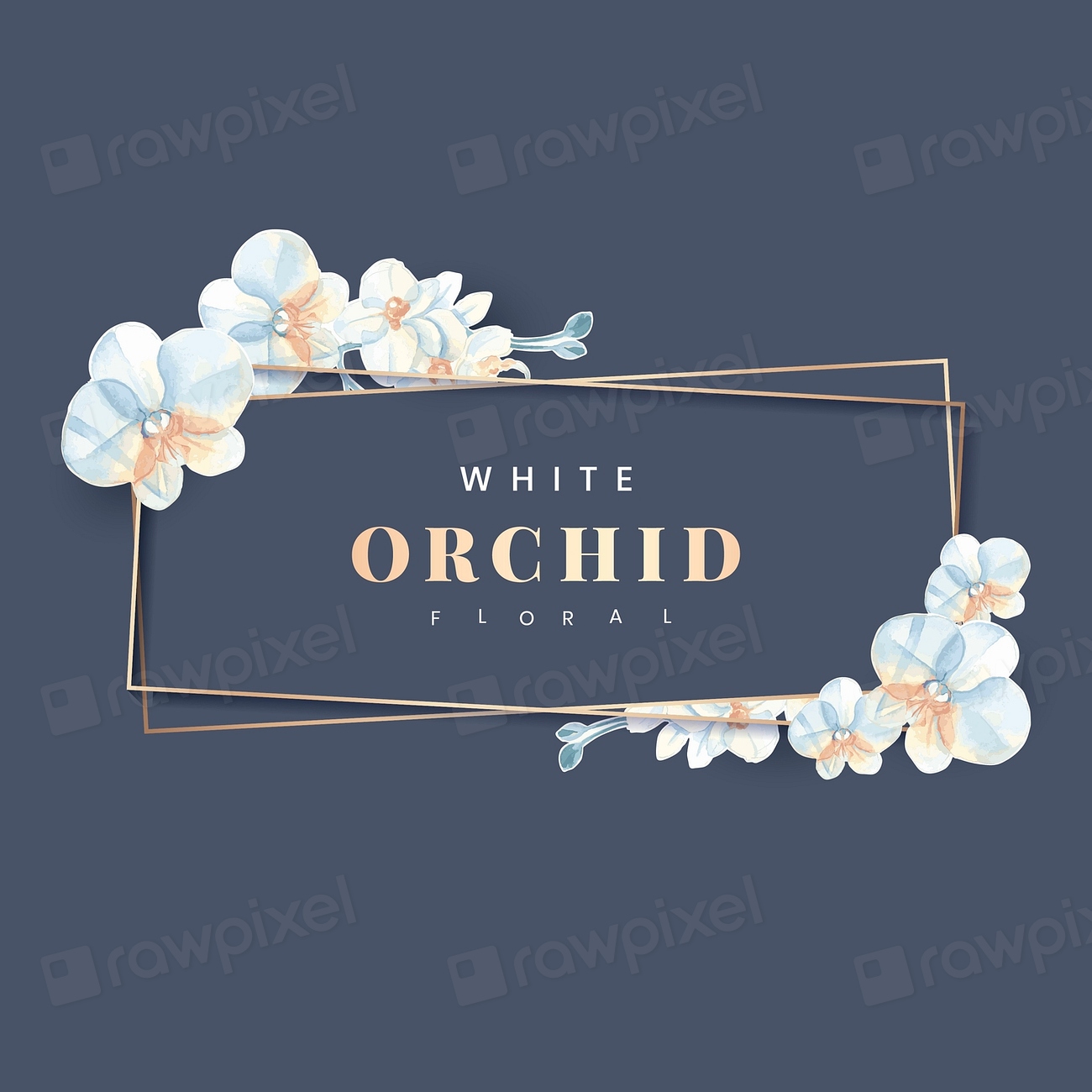 Rectangle gold flower frame vector | Premium Vector - rawpixel