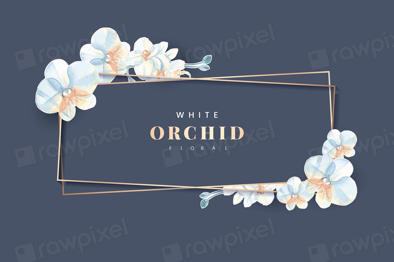 Rectangle gold flower frame vector | Premium Vector - rawpixel