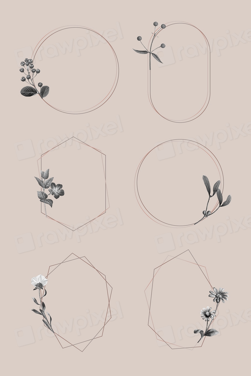 Floral frame collection design vector | Premium Vector - rawpixel