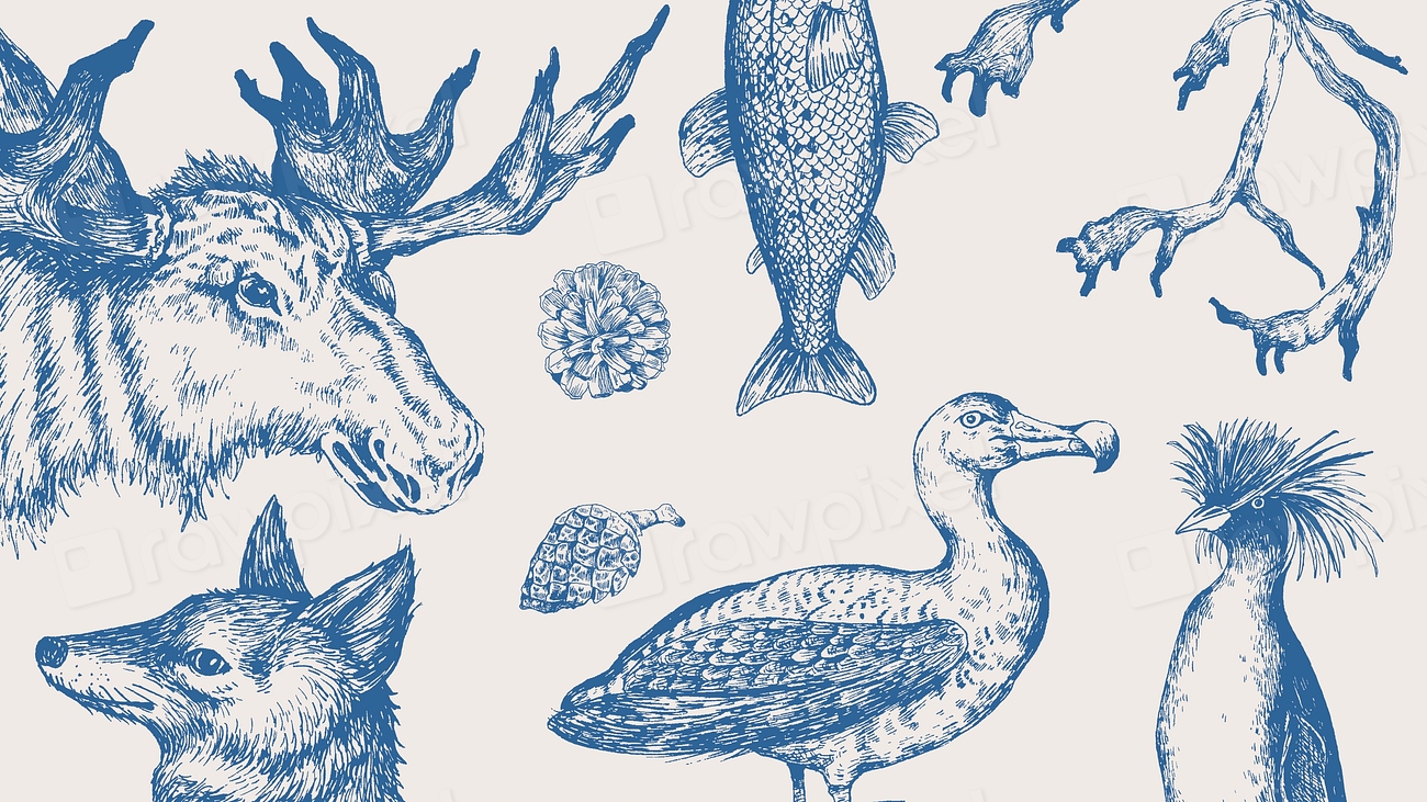 Animal drawing collection in grayscale | Premium Vector - rawpixel