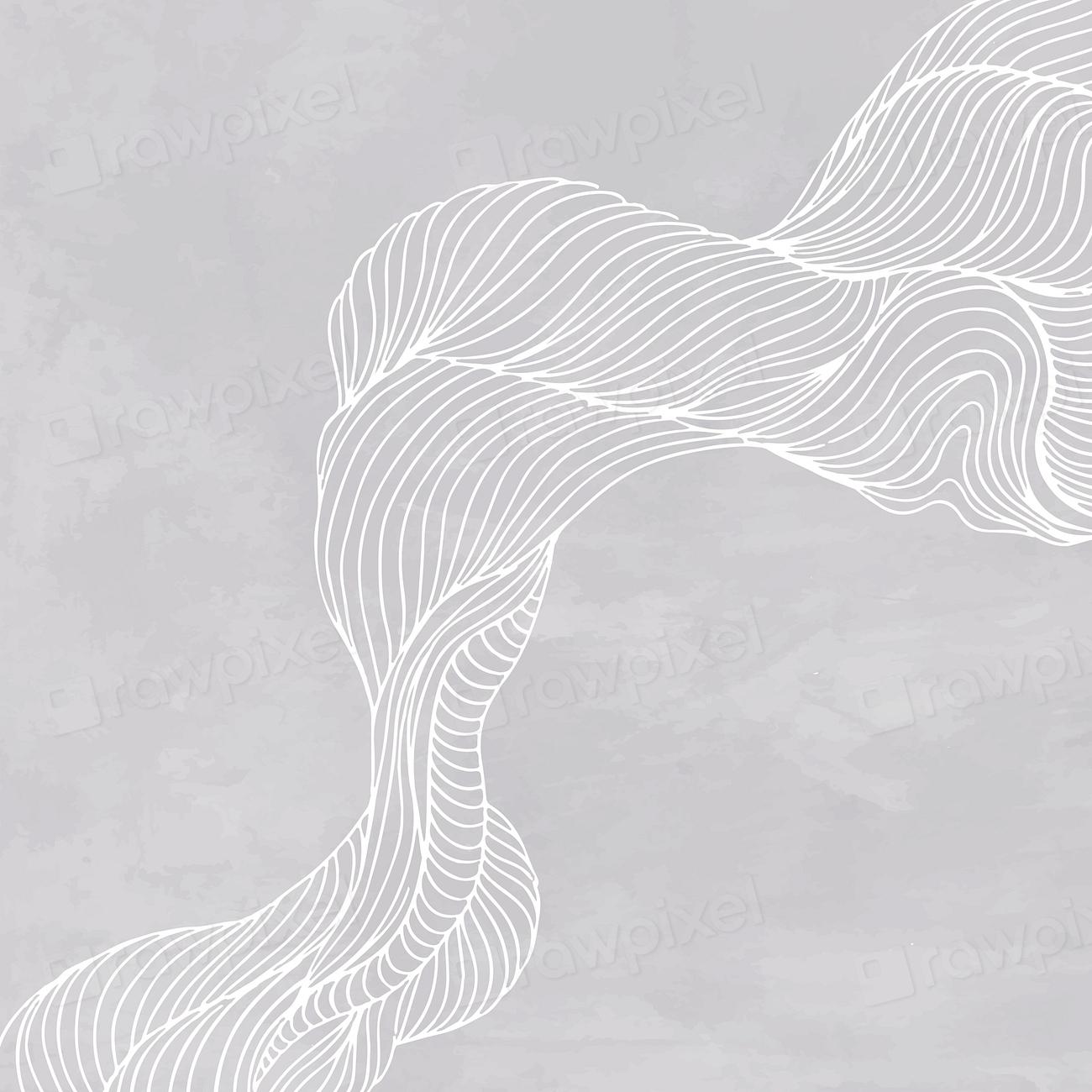 Gray abstract line frame social | Premium Vector - rawpixel