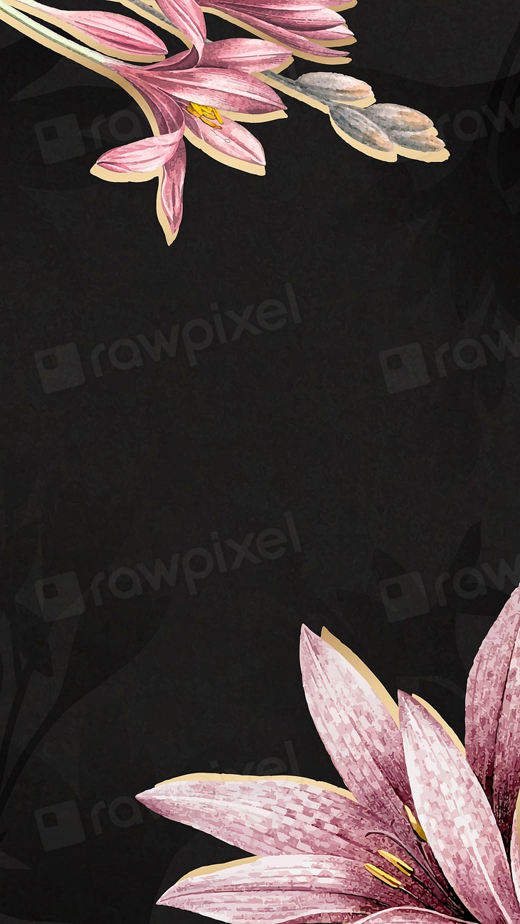 Pink amaryllis pattern background vector | Premium Vector - rawpixel