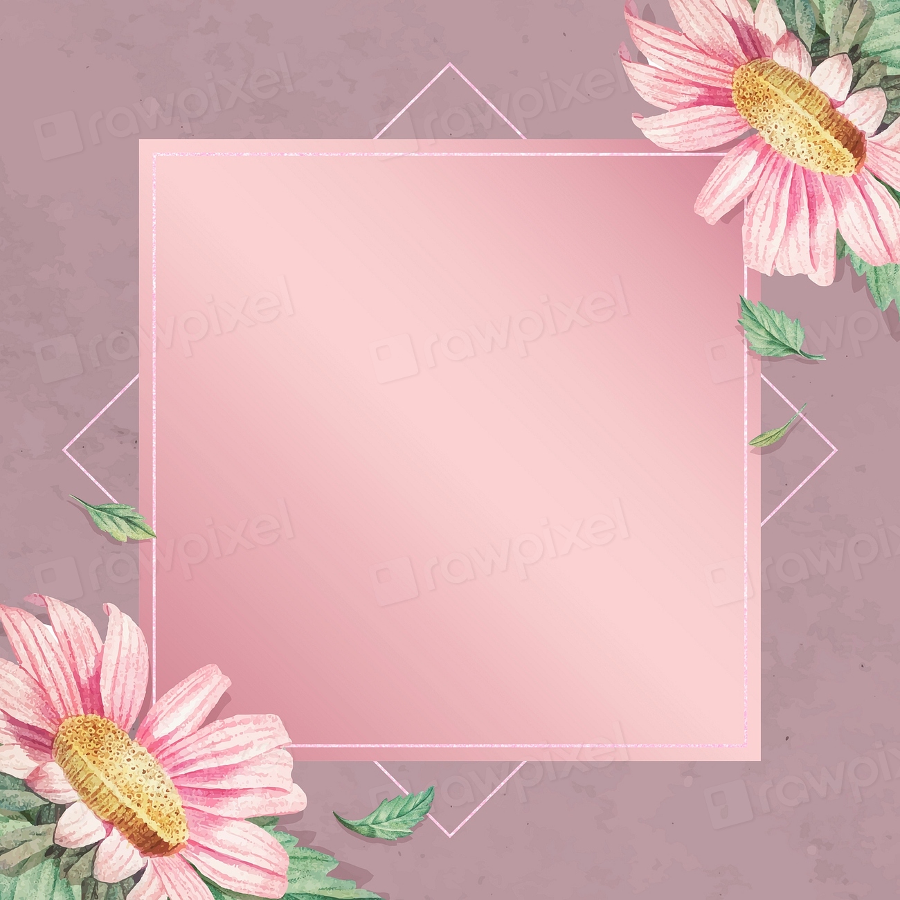 Gerbera daisy pattern frame vector | Premium Vector - rawpixel