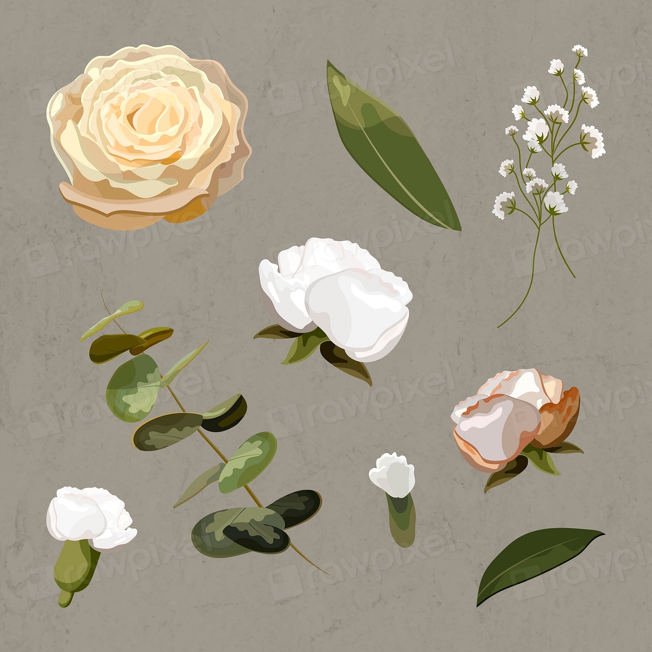 Blooming flowers design resource set | Premium Vector - rawpixel