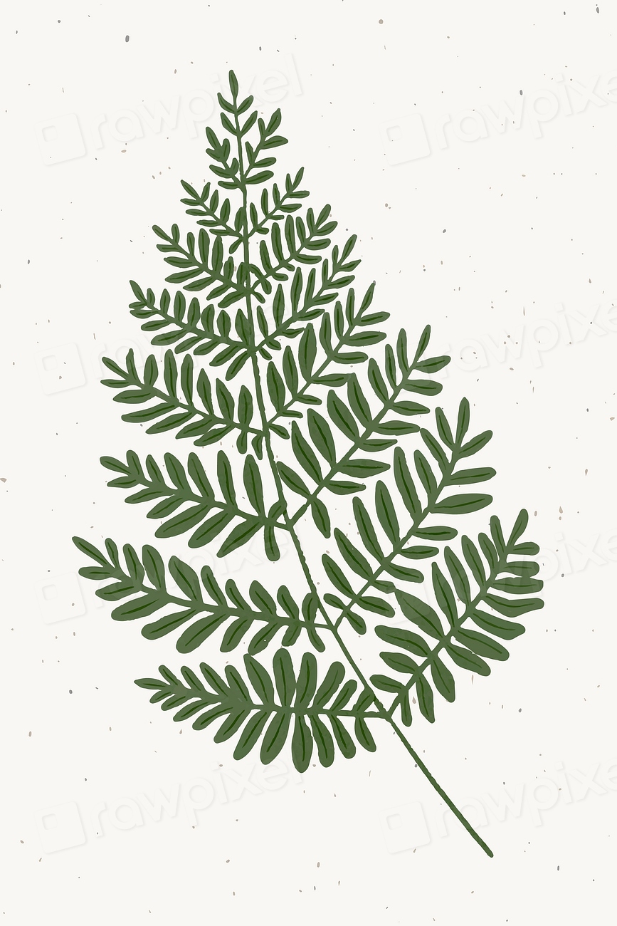 Fern branch design element vector | Premium Vector - rawpixel