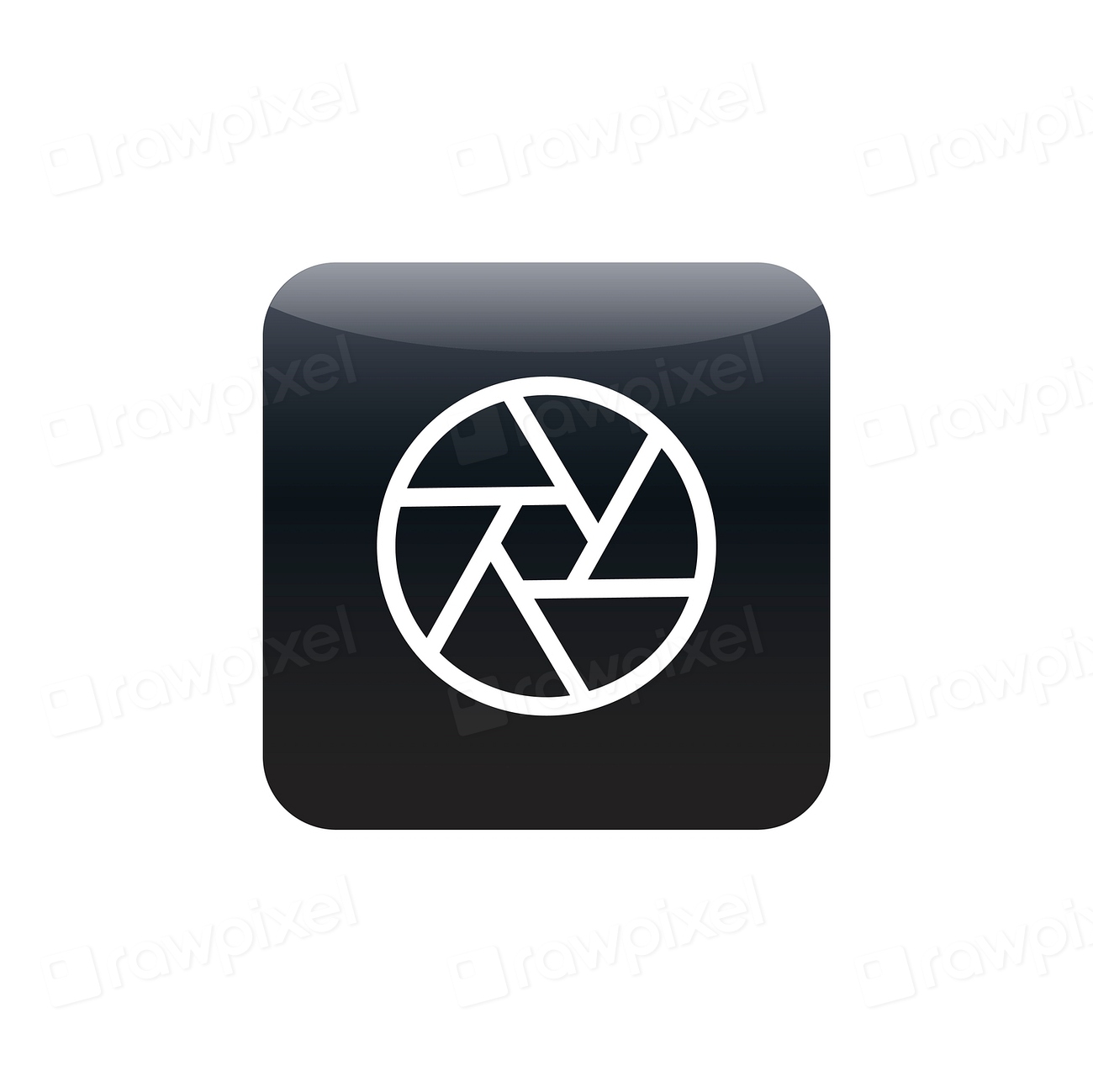 Capture icon vector | Premium Vector - rawpixel