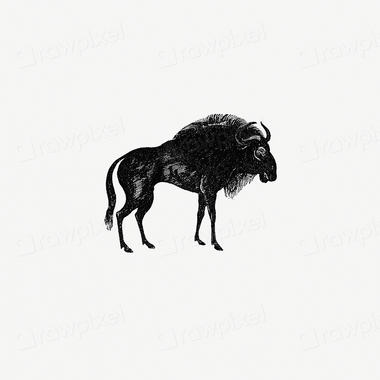 Wildebeest from 'Adventures in the far | Free Photo Illustration - rawpixel
