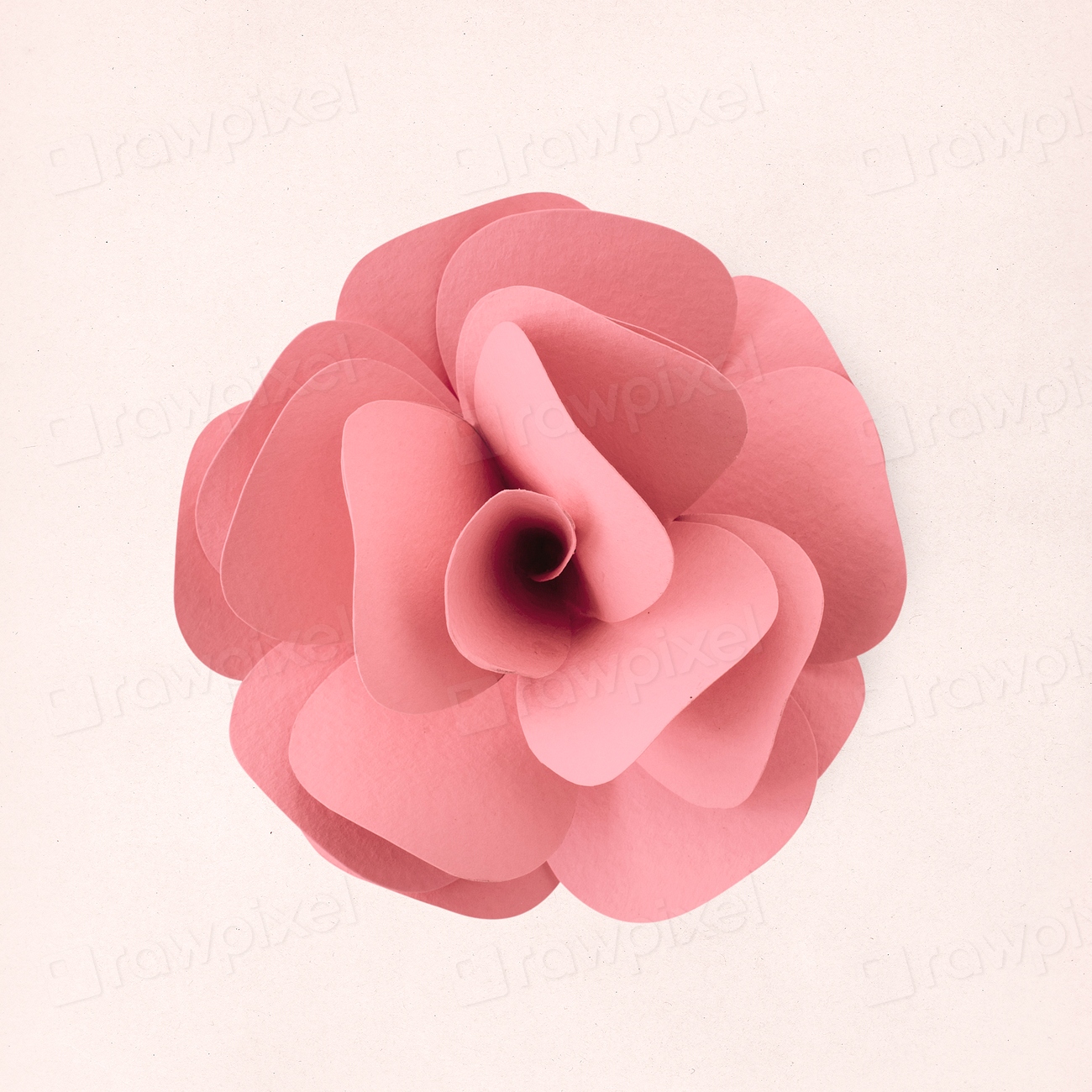 Flatlay pink flower paper craft | Premium PSD - rawpixel