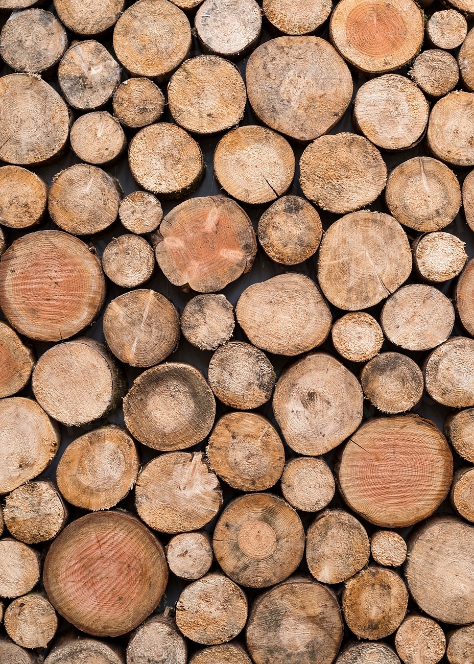 Cut wood log texture background, | Free Photo - rawpixel