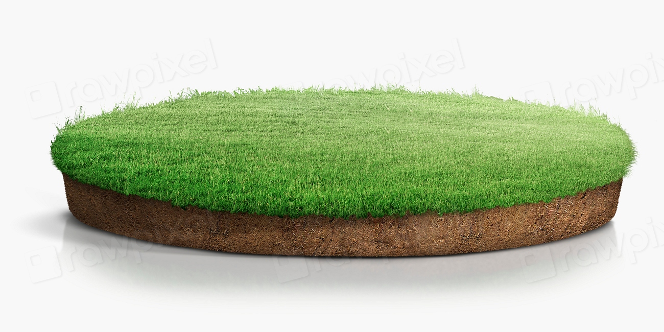 Grass ground isolated white, nature | Premium PSD - rawpixel