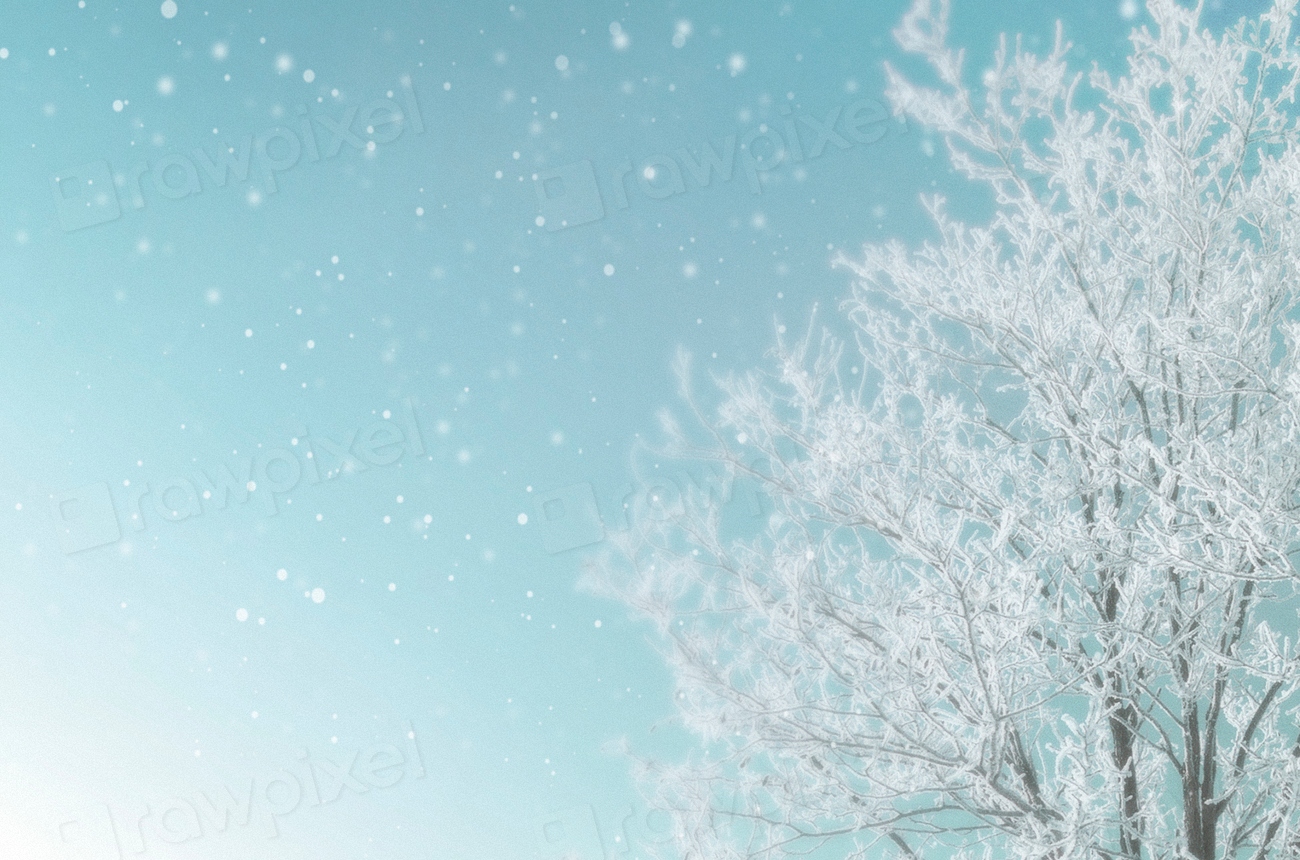 Frozen tree snowy day | Premium Photo - rawpixel