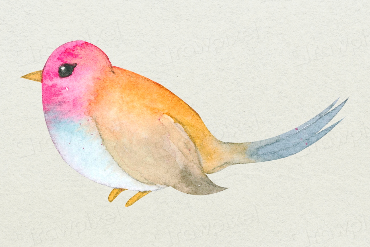 Easter bird design element cute | Premium Photo Illustration - rawpixel