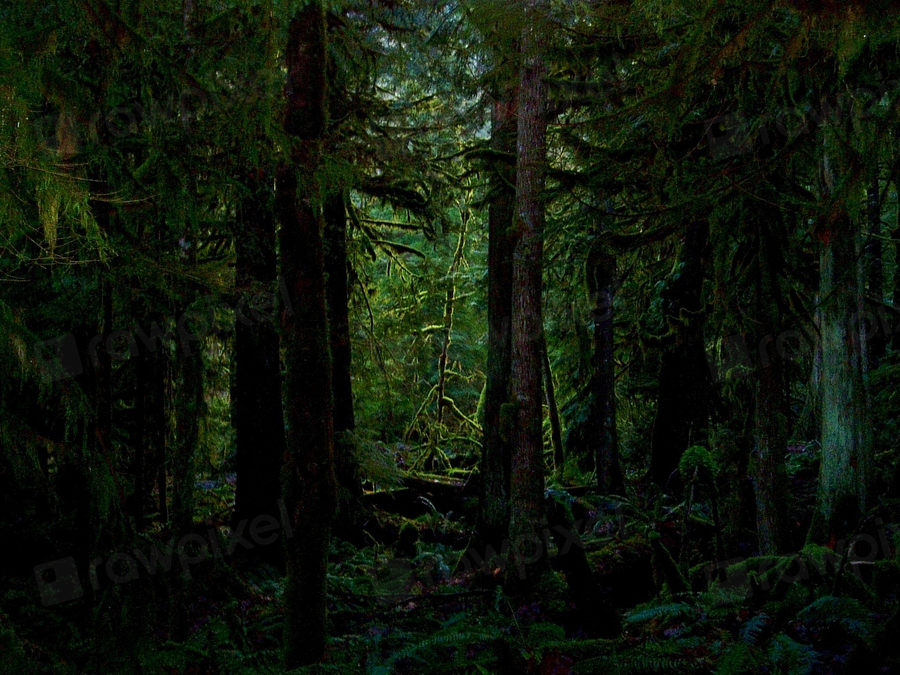 Nature Landscape. Original public domain | Free Photo - rawpixel