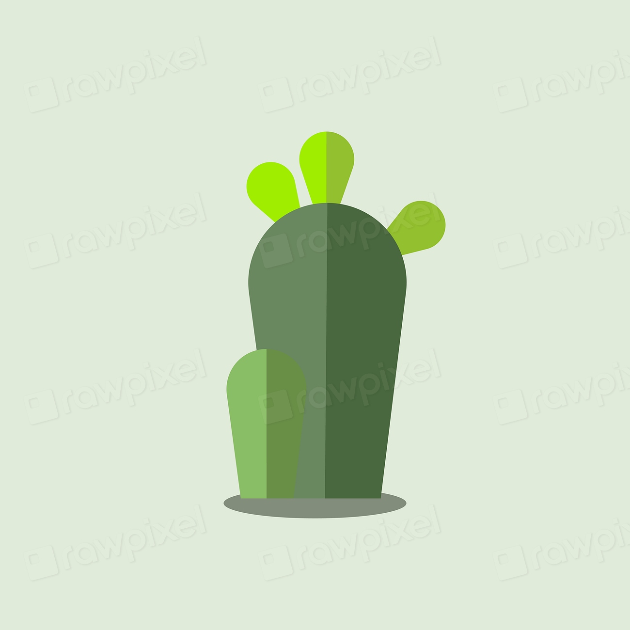 Green botany cactus design vector | Premium Vector - rawpixel