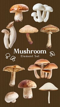 Various mushroom set, editable design | Premium Editable Design - rawpixel