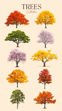 Autumn tree set, editable design | Premium Editable Design - rawpixel