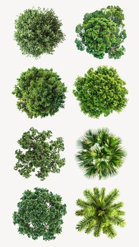 Tree top view set, editable | Premium Editable Design - rawpixel
