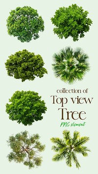 Editable top view tree design | Premium Editable Design - rawpixel