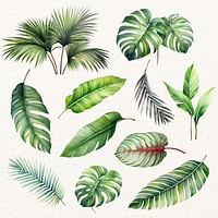 Editable watercolor tropical leaves design | Premium Editable Design ...