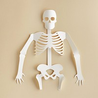 Paper skeleton cutout illustration | Free Photo Illustration - rawpixel