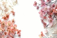 Delicate floral border design | Free Photo - rawpixel