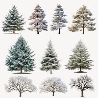 Tree design element set | Free Photo - rawpixel