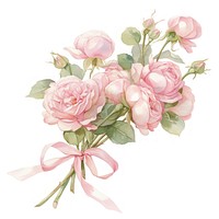 Coquette Roses roses art illustration. | Free Photo Illustration - rawpixel